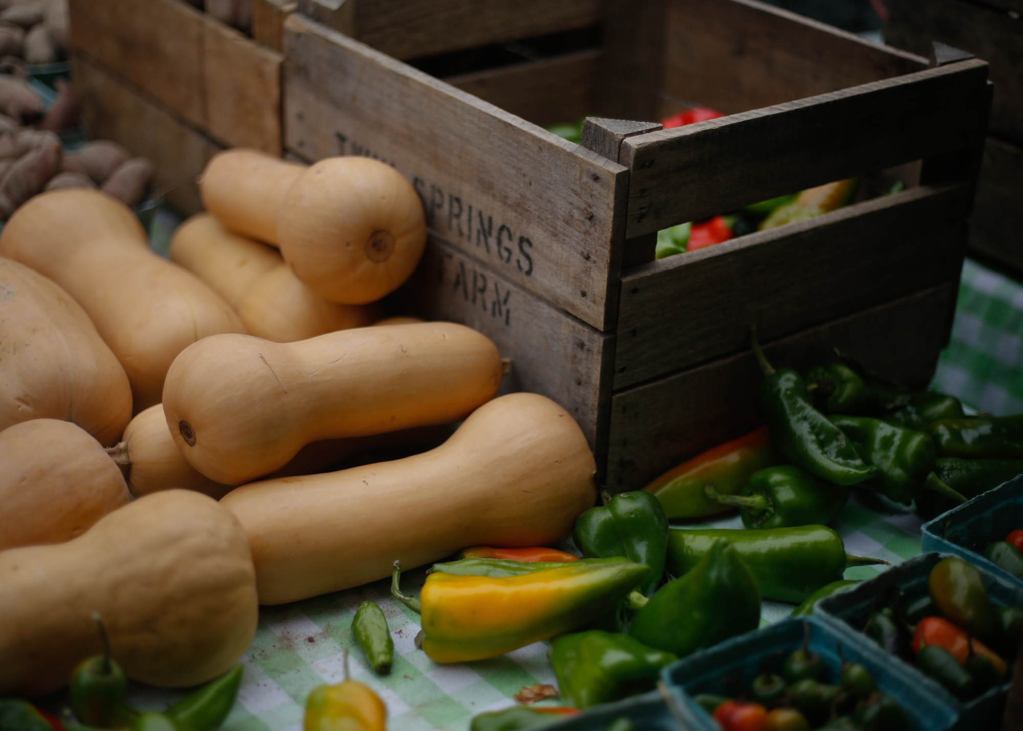 Think Green: DCCK Uses Food as a Tool to Replenish the Earth - DC ...